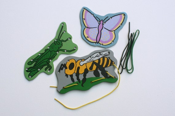 Insect Lacing Cards