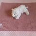 Pet Mat Crochet Pattern PDF