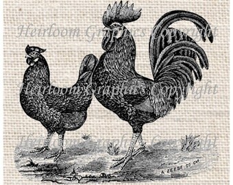 Chicken transfer | Etsy