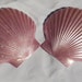 Custom Mermaid Seashell Bra any color MADE TO by CelciasCreations