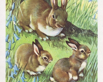 sale - woodland RABBITS print, rabbit nursery print