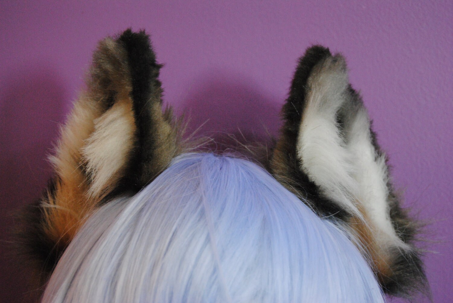 realistic wolf ears