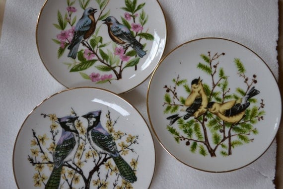 Vintage Bird Plates Birds China Three Collectible by SimplyChina
