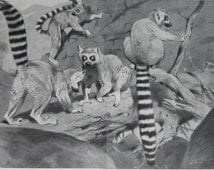 Unique lemur print related items | Etsy