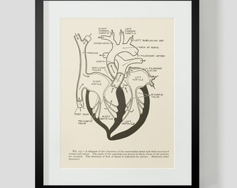 Items similar to Blown Glass Heart Sculpture on Etsy