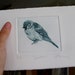 Bird print Drypoint. Hedge Sparrow. Hand by LynnBaileyPrintmaker