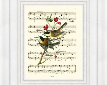 Songbird art | Etsy