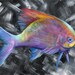 Violet Betta Fish Art Print of Acrylic Painting