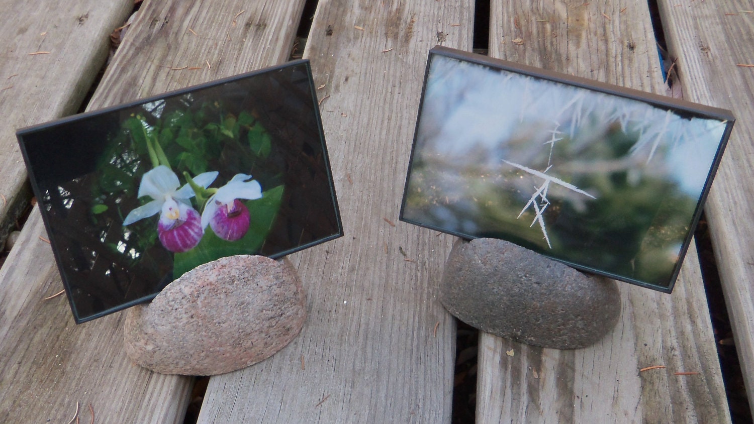 Rock Display Stand with a Framed Photo