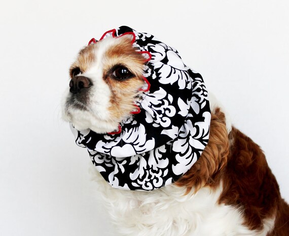 Black Damask Dog Snood / Cavalier King Charles / by daydogdesigns
