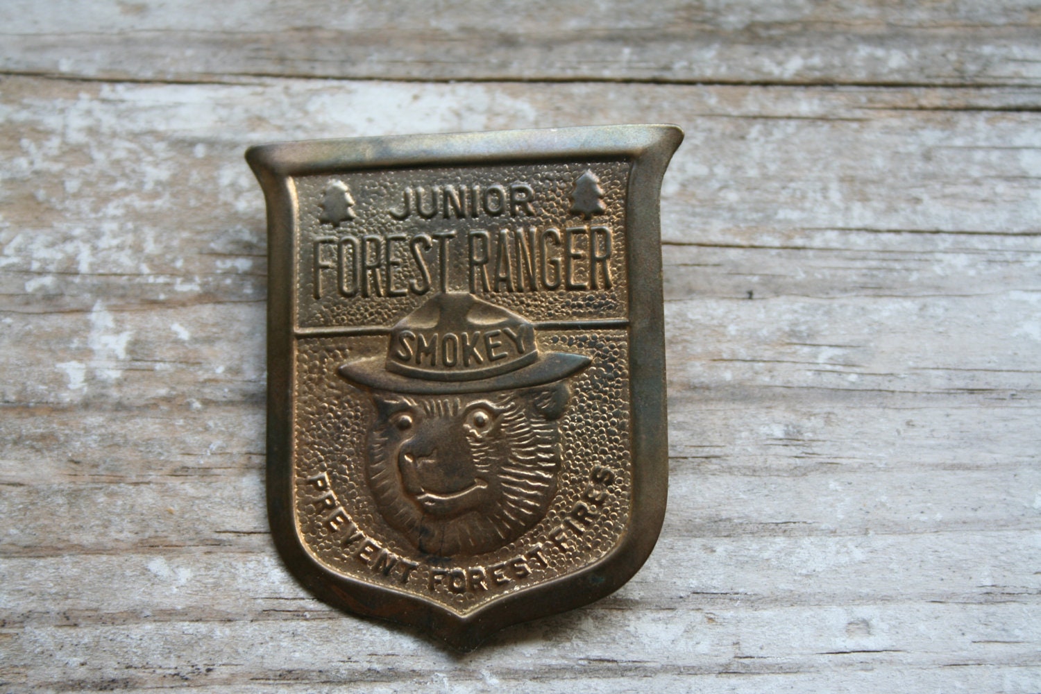 Vintage Junior Forest Ranger Badge / Pin Smokey The Bear