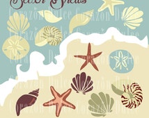 Unique sand dollar clip art related items | Etsy