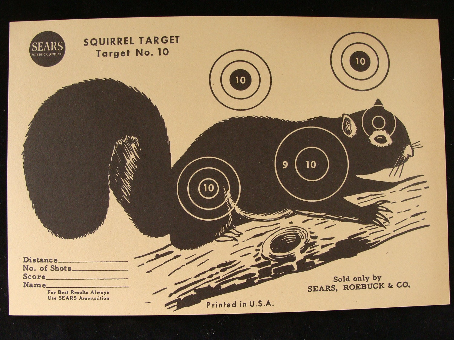 Squirrel Target Printable - Printable Word Searches