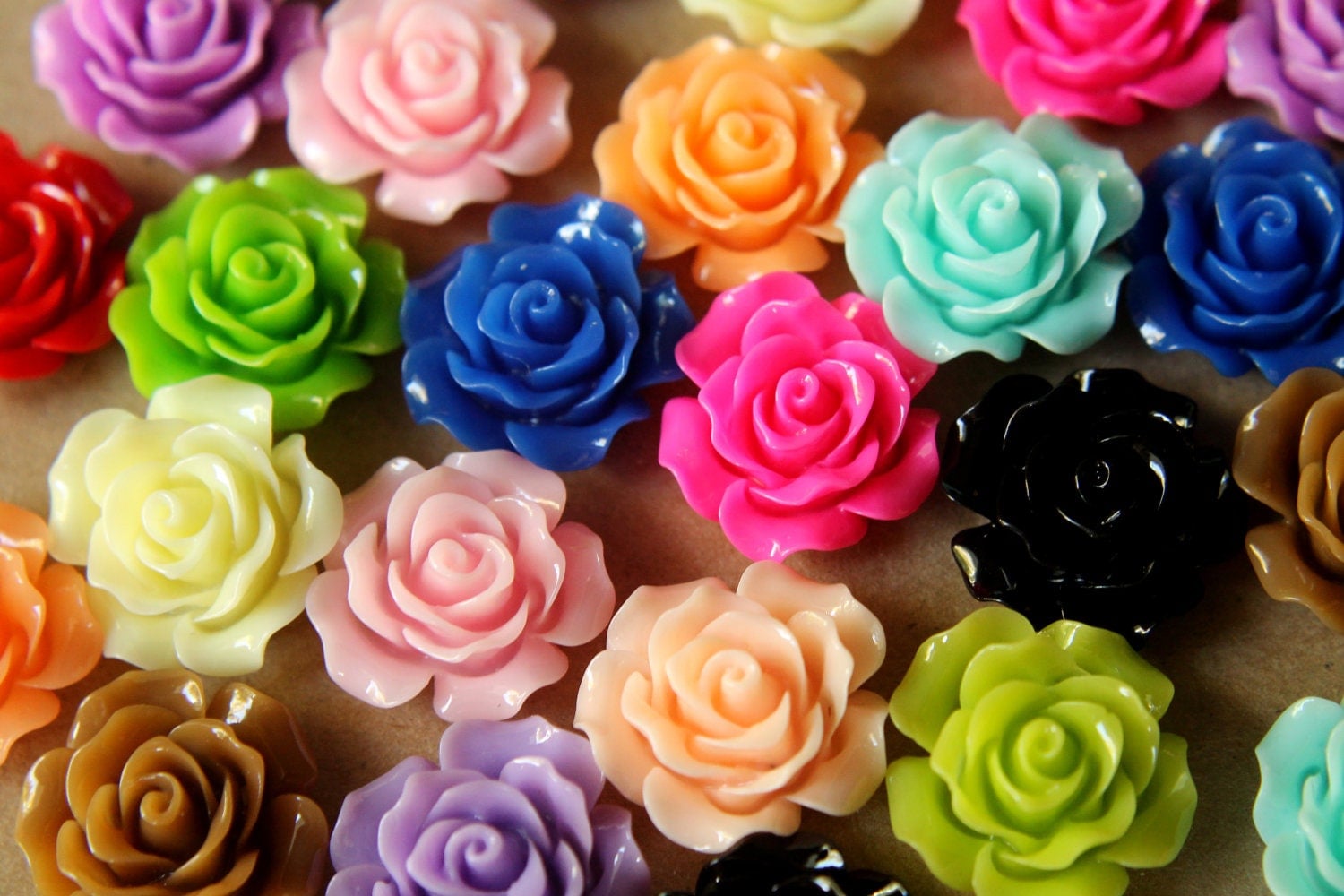Multi Colored Roses
