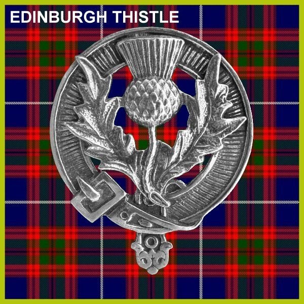 Scottish Thistle Pewter Badge Emblem of Scotland Brooch CB02