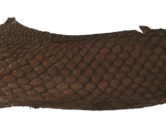 Pirarucu Arapaima Fish Scales 100% Natural Fish by NatureBeads
