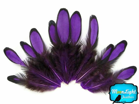 Purple Laced Feathers 1 Dozen PURPLE Laced Hen Loose