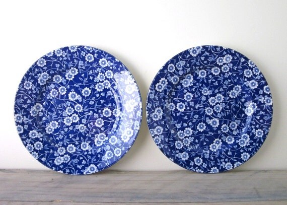 Blue and White China Plates Calico Chintz Set of Two