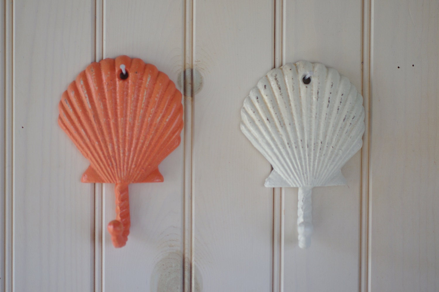 Seashell Wall Hook