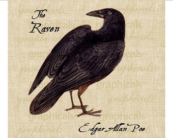 Raven stencils | Etsy