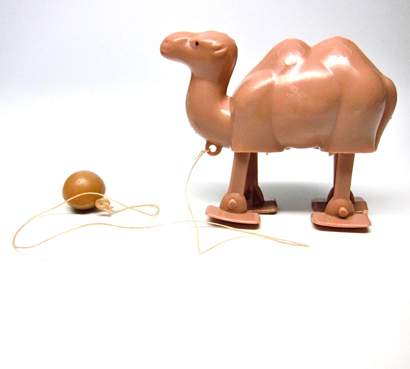 Small Plastic Toy Camels at Jean Carothers blog