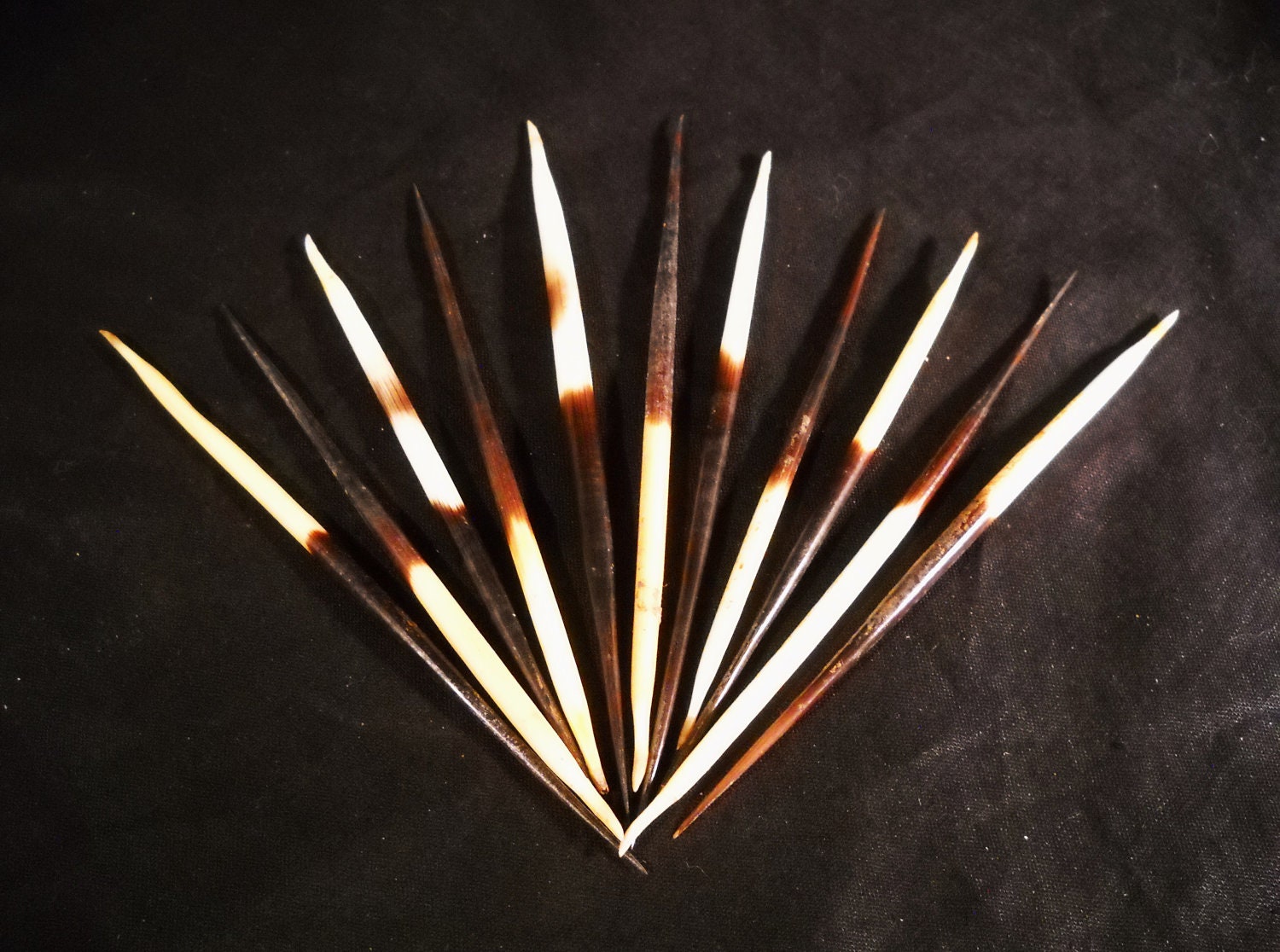 Multipack THICK 4-6 Porcupine Quills Needles for