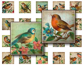 Birds Collage Sheet Digital Scrapbooking Vintage Scrapbook