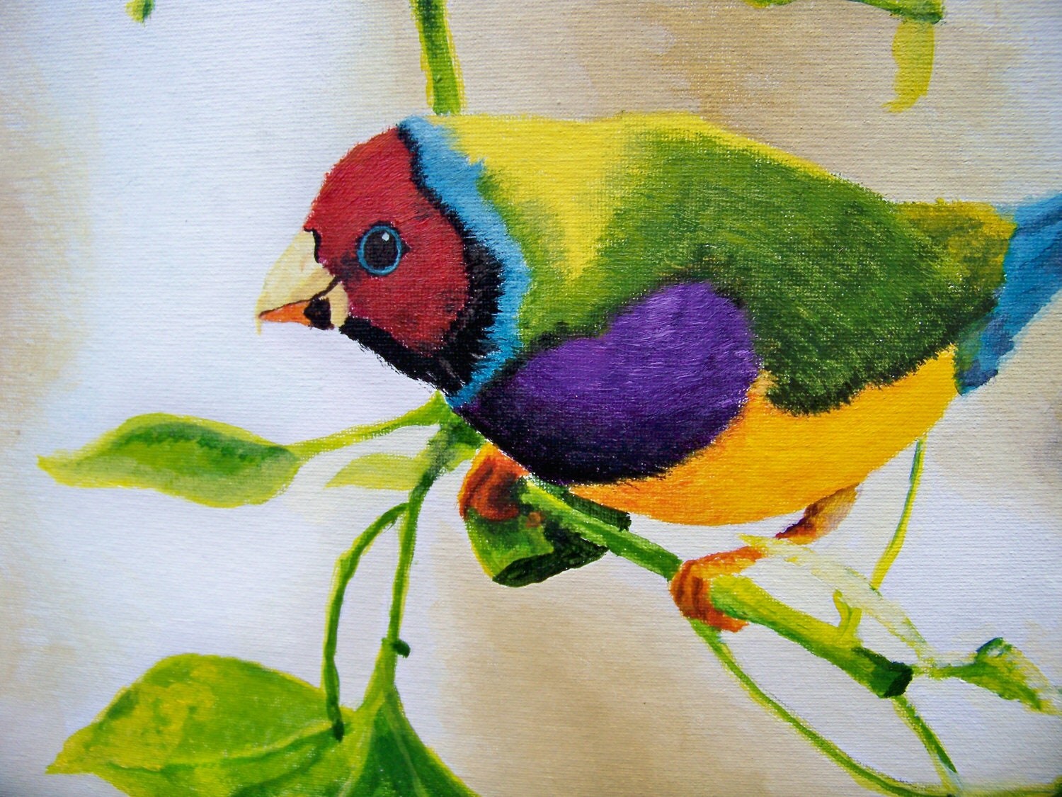 Gouldian Finch Painting PRINT 8x10 FREE SHIPPING
