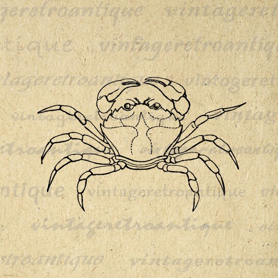 Printable Digital Crab Image Download Ocean by VintageRetroAntique