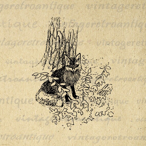 Digital Graphic Antique Fox Image Download Fox Illustration Printable ...