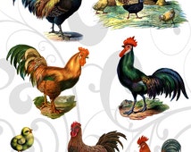 Popular items for chicken collage on Etsy
