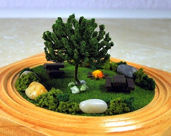 Nature's Beauty Miniature Garden - Desktop Garden, Mini Garden, 4 inch ...