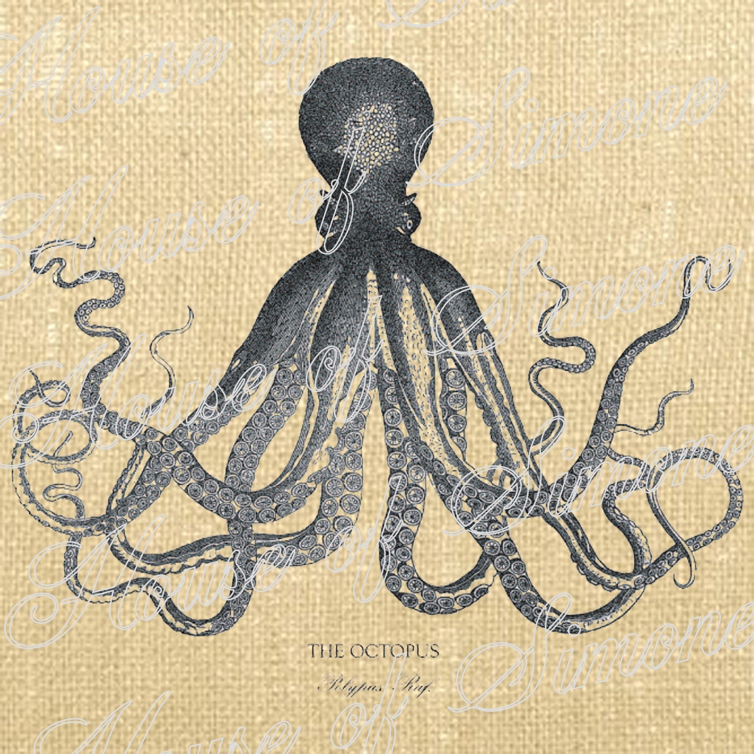 Octopus Ocean Sea Antique Vintage Download Graphic Image Art