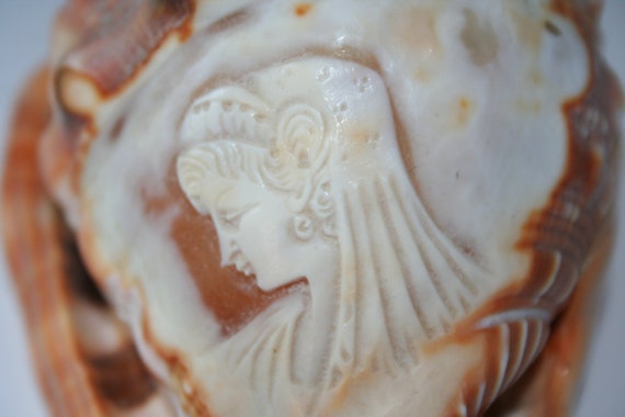 Cameo Shell Greek or Roman Goddess Cameo Carved into Whole