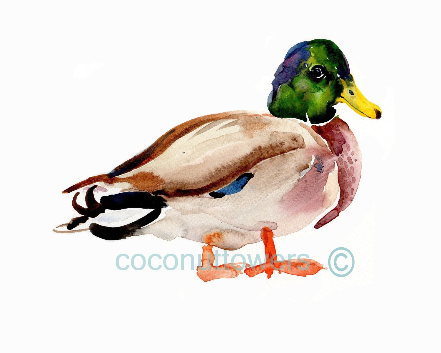 Duck Art Duck 2 Size 8x10in Watercolor Art Nursery