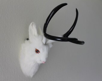 Jackalope mount | Etsy