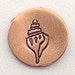 Conch Shell Metal Design Stamp 6mm Metal Jewelry Stamping Tool