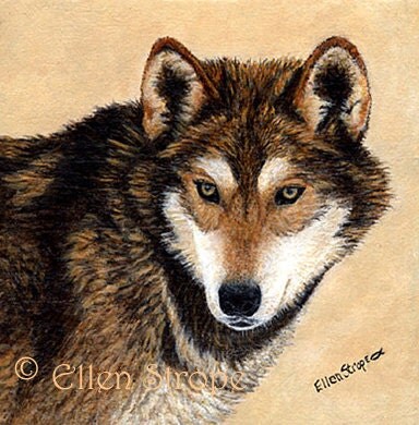 WOLF PRINT giclee print wolves wolf decor Ellen Strope
