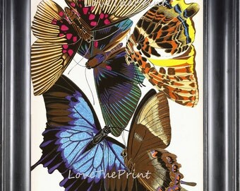 Butterfly print | Etsy