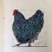 Chicken Woodcut Prints Strutting Hen