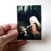 ACEO / ATC Artists Trading Card Mini Art Print 'Bowden