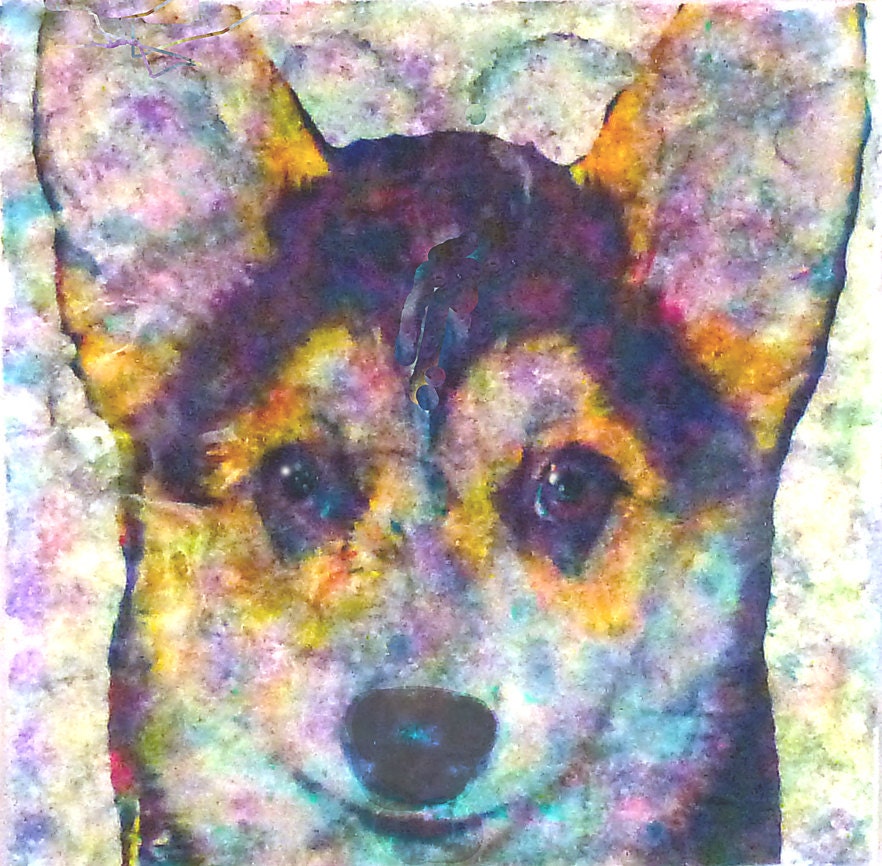 Custom Pet Portrait Tile by Pawsitive on Etsy