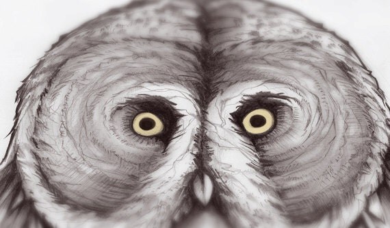 Art Print Owl Drawing Female Face Mask Feathers by jefflangevin
