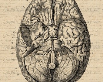 Brain stencil | Etsy