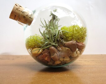 Popular items for terrarium decor on Etsy