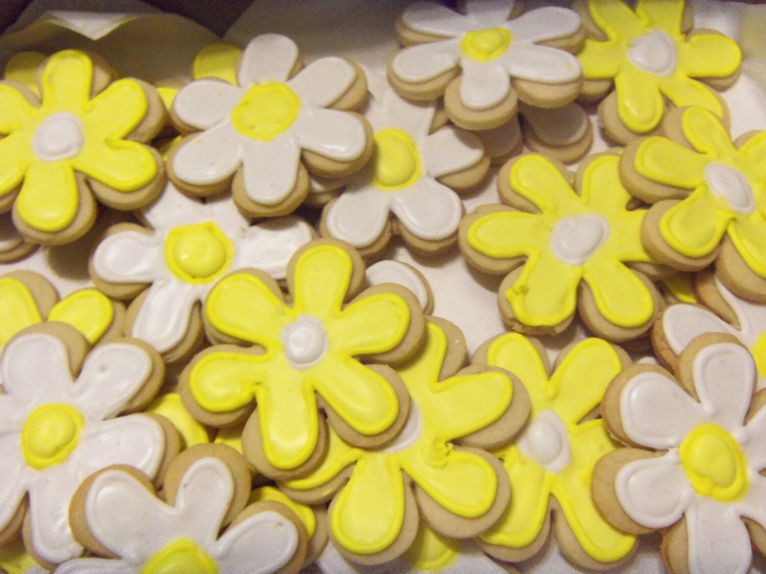 Daisy Sugar Cookies.