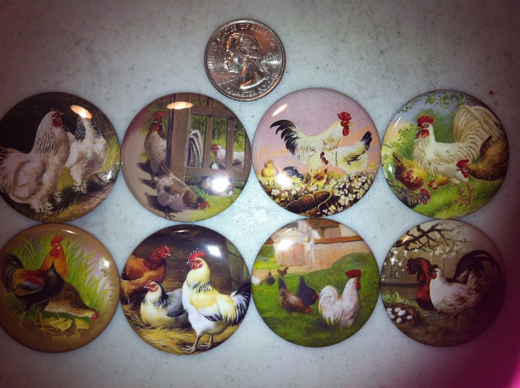 8 Vintage Rooster Chickens Fridge Magnets by Angelsbuttons on Etsy