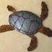 Sea Turtle 1 sheet metal wall art
