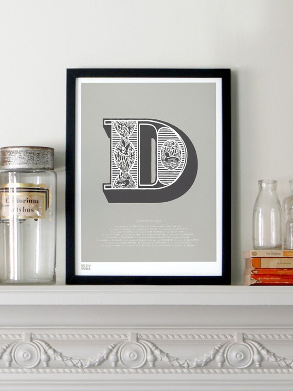 Illustrated Letter D Letter D Alphabet Art Print by boldandnoble
