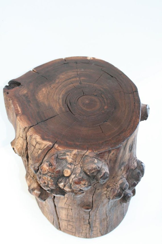 Walnut Tree Stump Stool Table Footstool Seat